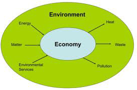 ecosystem & ecology: Ecological economics vs environmental economics