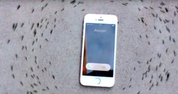 What a Swarm of Ants Do When this Phone Rings Will Freak You Out - Wise ...