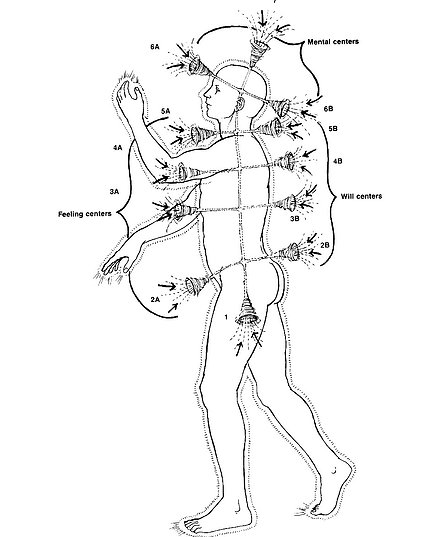 Introduction to Chakras and Energy Vortex ~ UNITED SPIRITUALITY