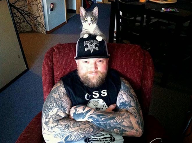 10 Aksi Brutal Tapi Comel Penyanyi Rock Metal Bergambar Dengan Kucing ...