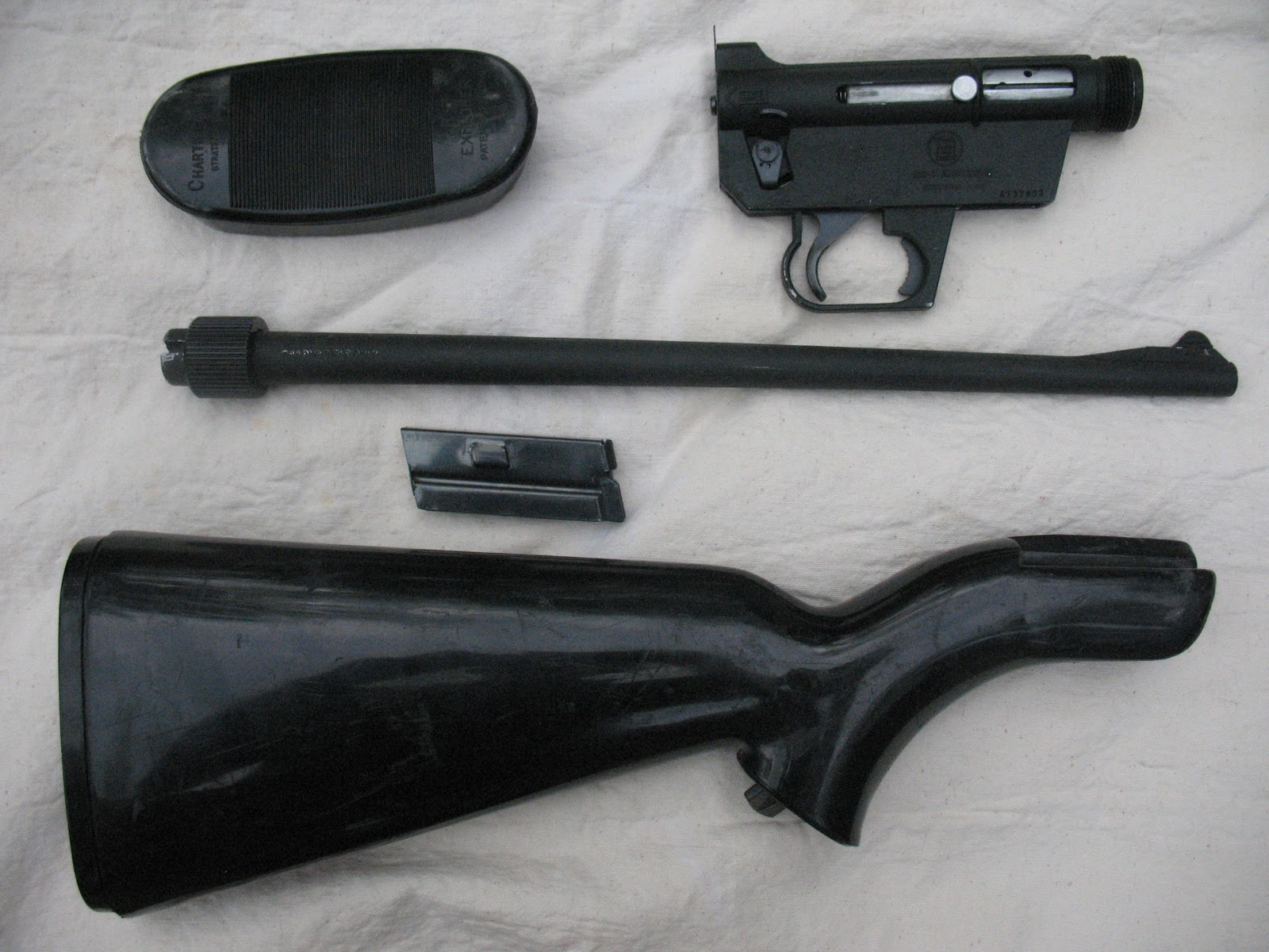 Sensible Survival: The AR-7 Survival Rifle - Review