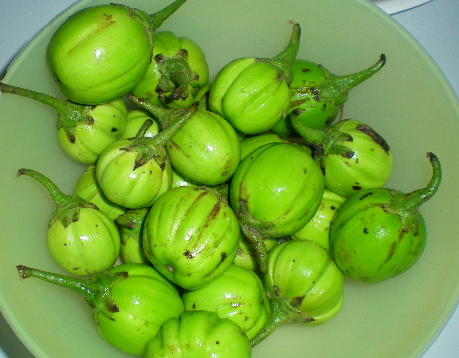 Exotic Herbs and Plants in Mao Naga Cuisine – Part II