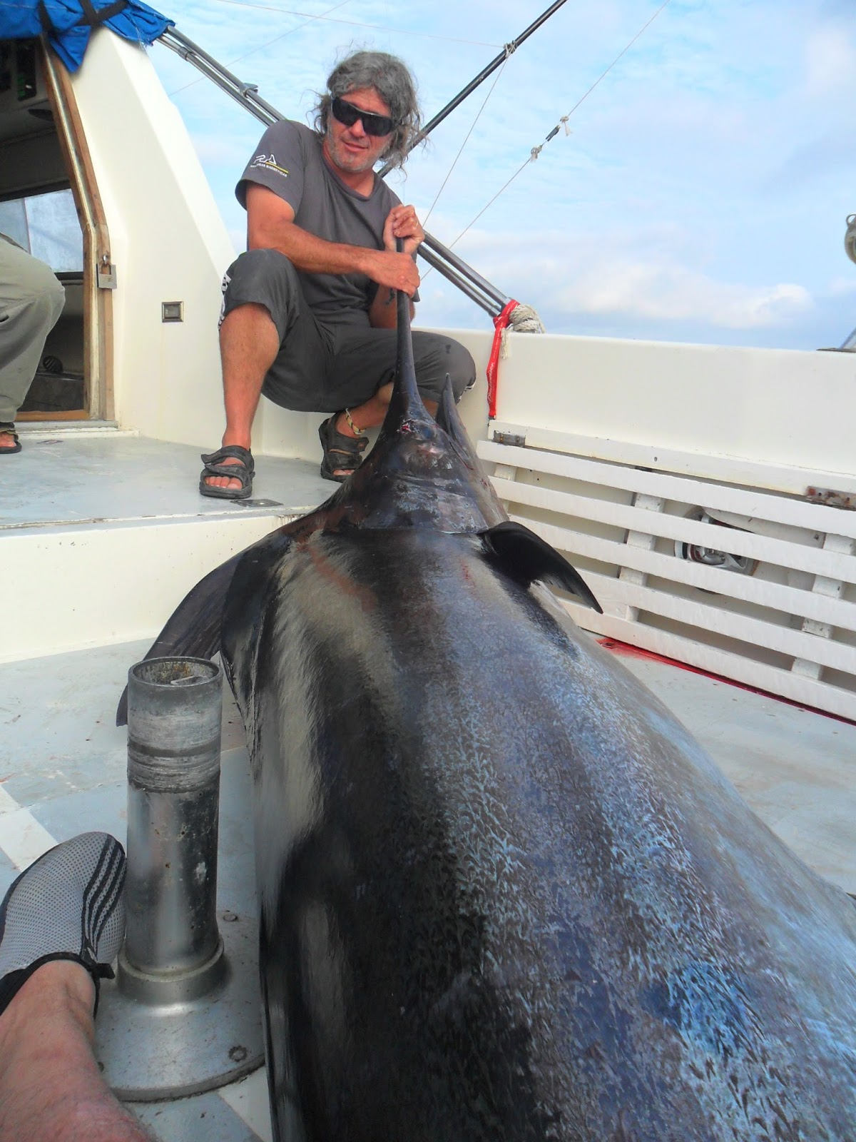 Correos de Lobo de Mar: BUSCANDO EL MARLIN AZUL, PRÓXIMA SALIDA DE ...