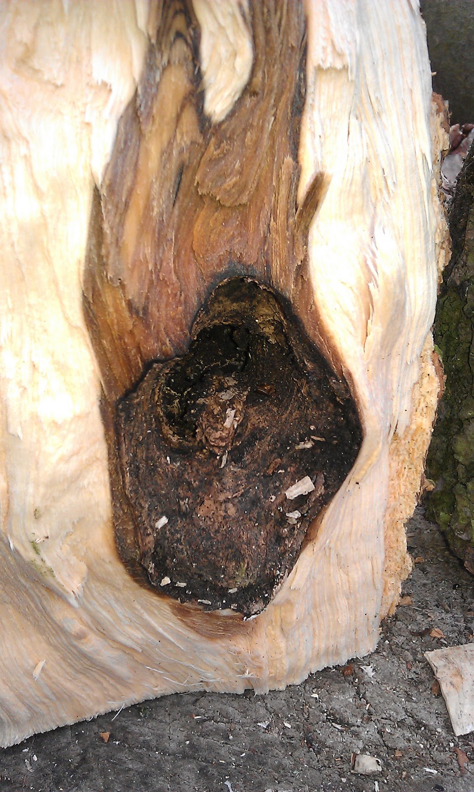 the wood in the pictures is upside down, the Flame shaped dark wood is ...