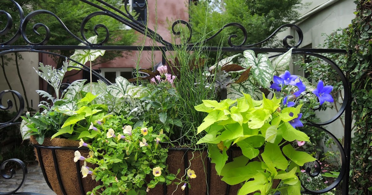 JLL DESIGN: Taking a Stroll: Window Boxes