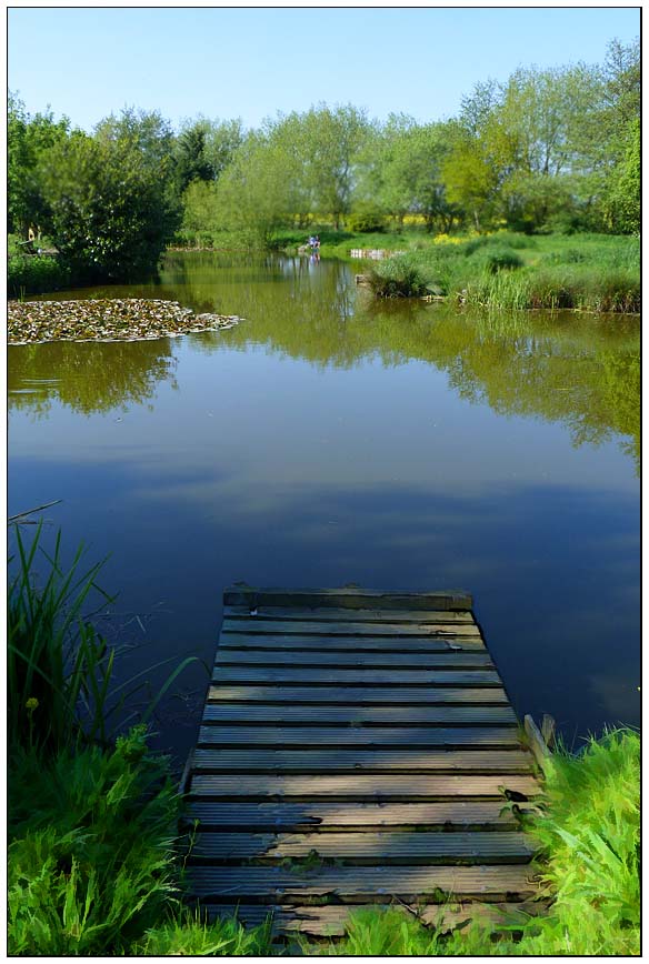 Lincolnshire Cam: Alvingham Lakes.