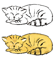 Research Publication: The Kangaroo and Josh the Sand Cat