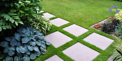 EnconcretoVE - Concreto Decorativo: Musgo y Moho sobre el Concreto