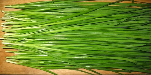 Philippine Species, Plants, Rock/Water Formation: Pebrero 2015