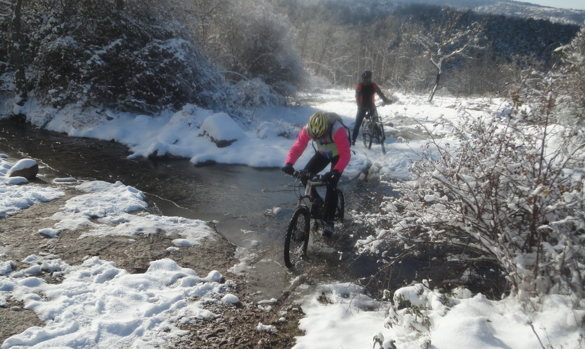 El Sherpa Loco: Más fresquitos que Walt Disney