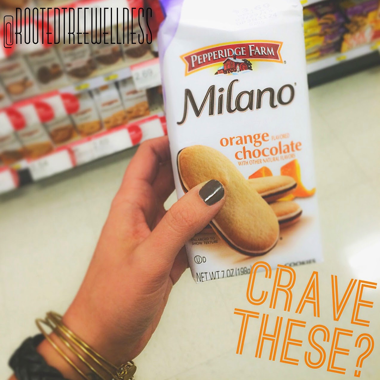 Chocolate Dipped Orange Shake | Leah Seeks