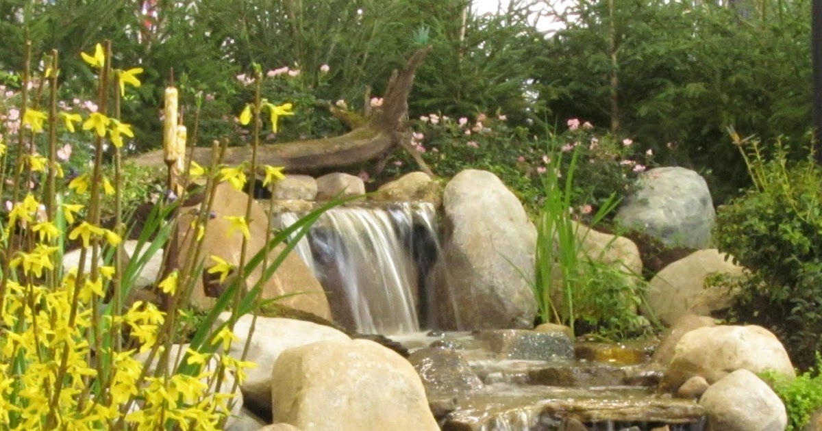 Choosing the Right Water Feature