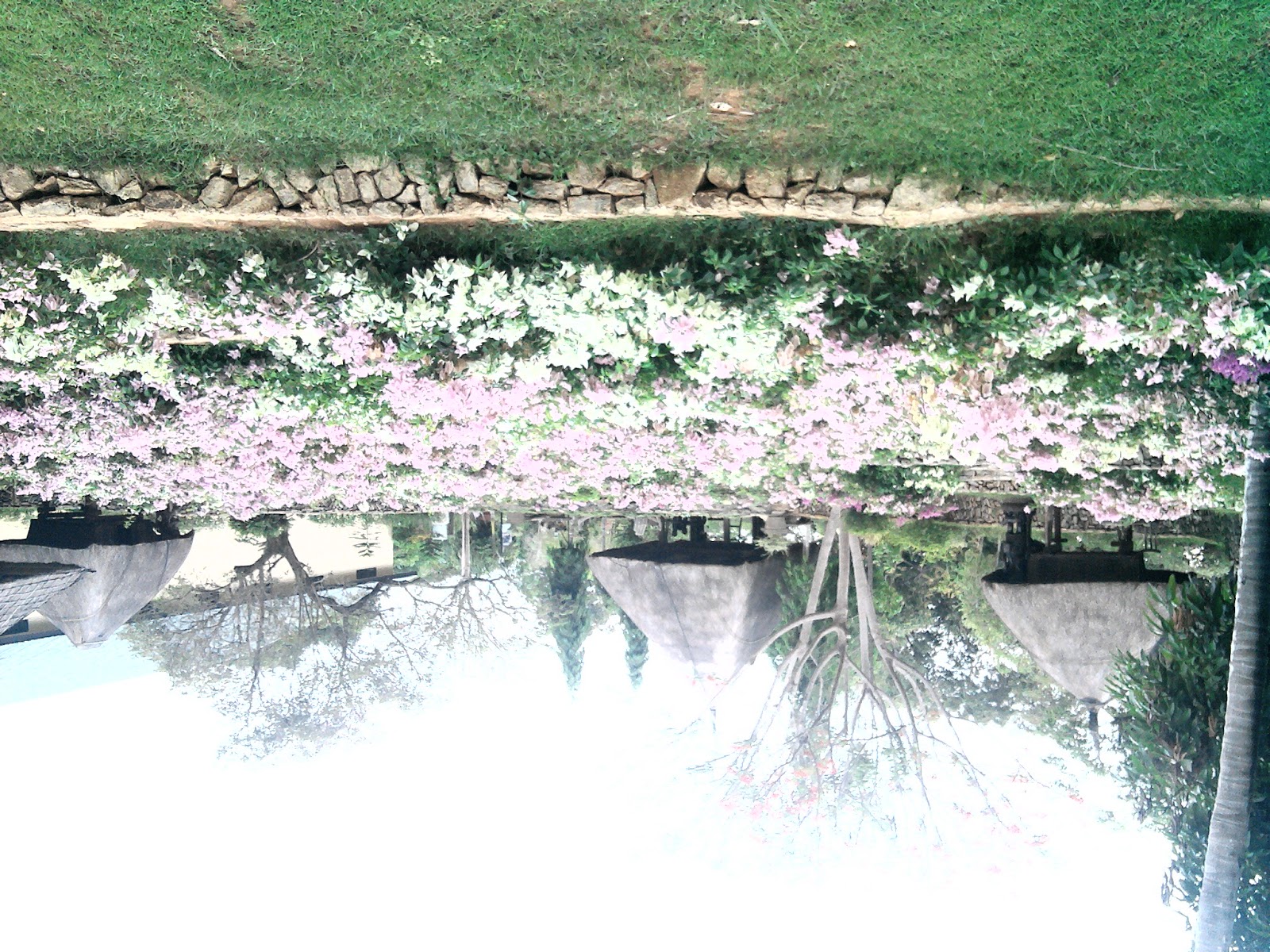 Metatraveller: Dasoland, Dasol, Pangasinan, Philippines