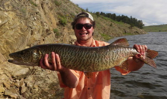 Colorado Fly Fishing Reports: Lyons, tigers, and bears