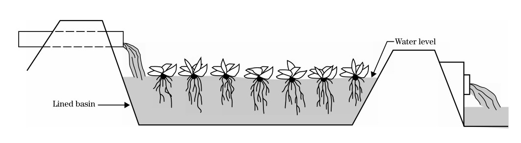 Constructed Wetland | Environmental Engineer