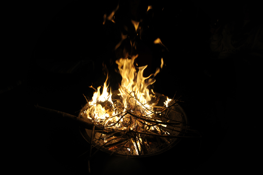 Erin Hendry Photography