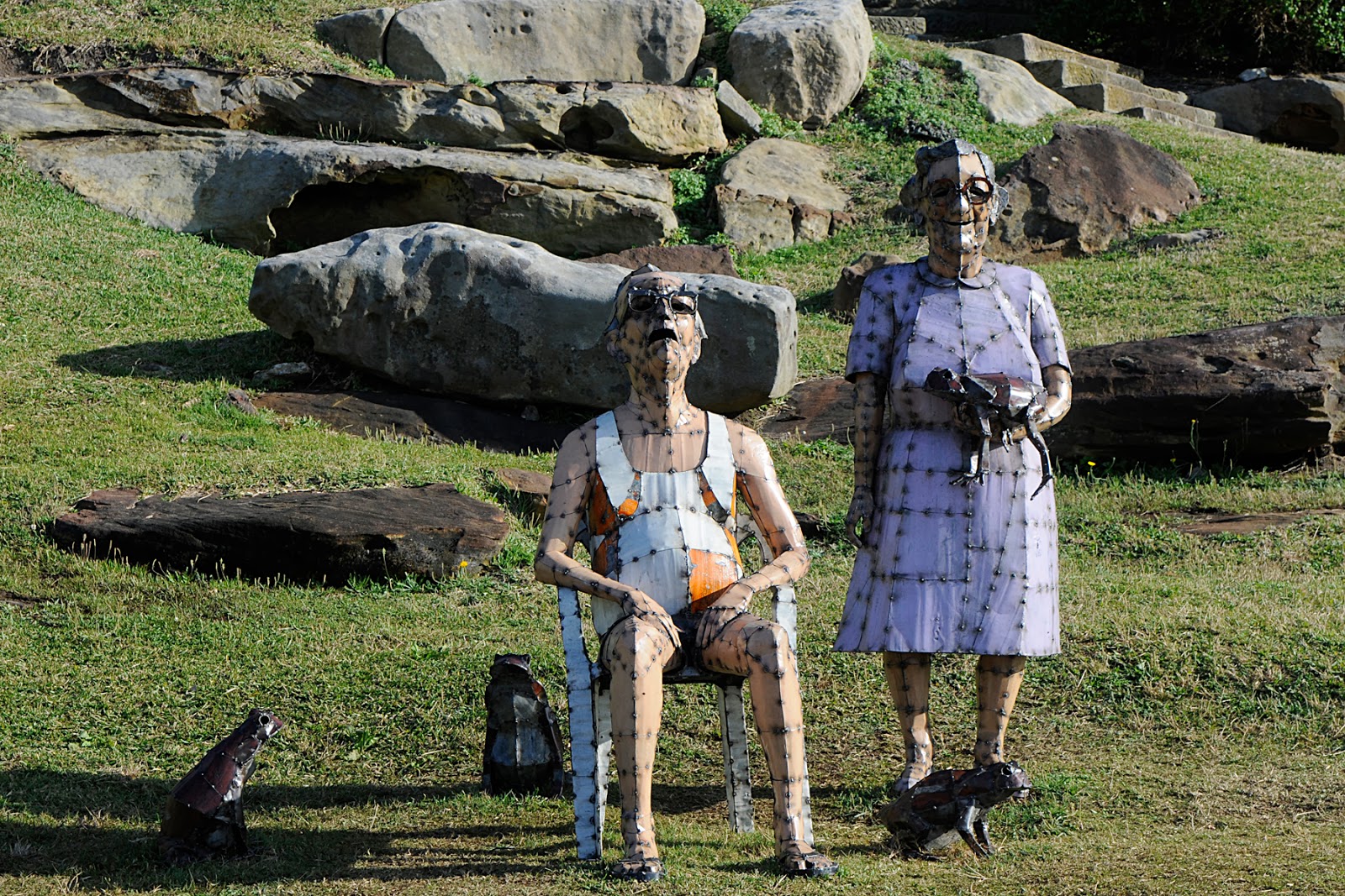 Small Animal Talk: Cane toads: a history, a gross case study, and first ...