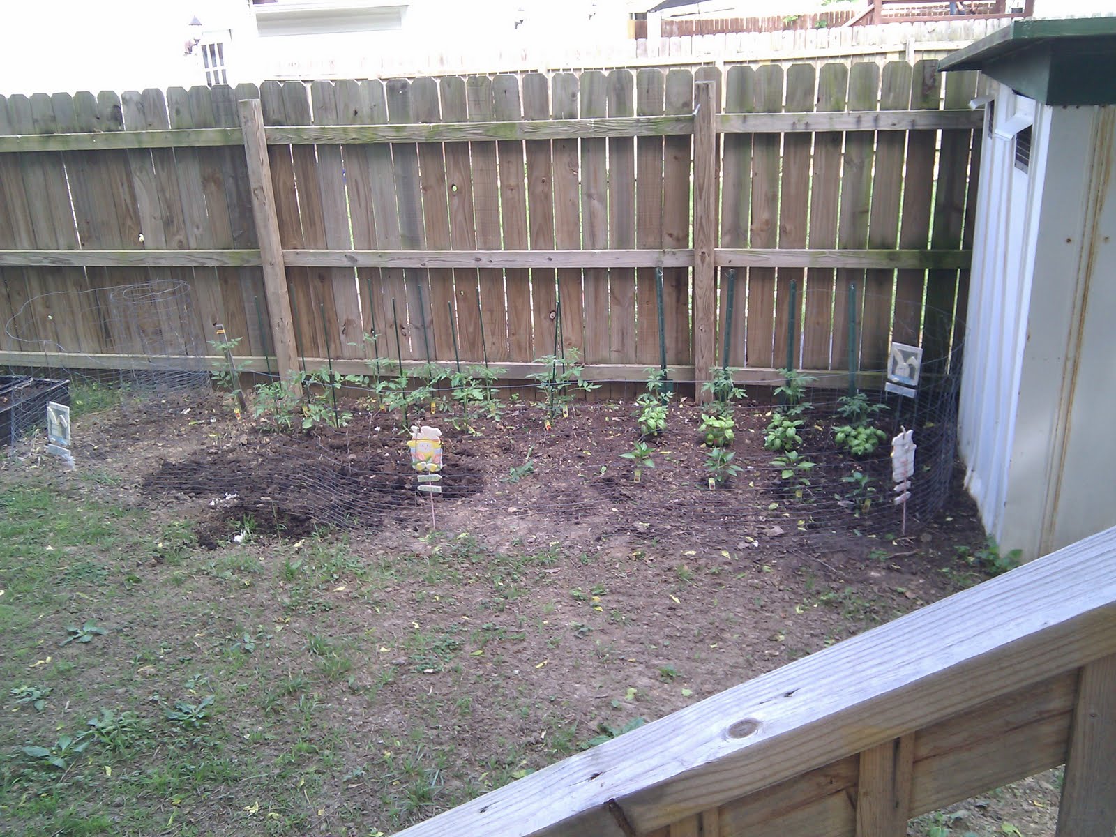 Farmer Fingerhut Garden