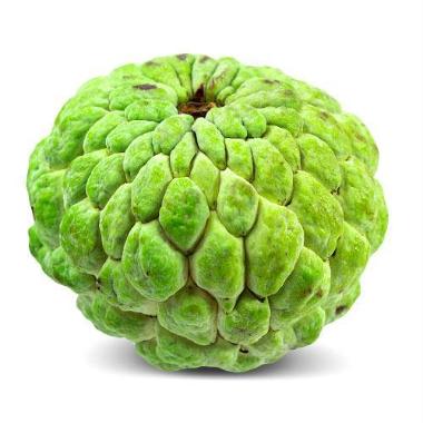 FRUTAS BRASIL: A Familia Anonáceas