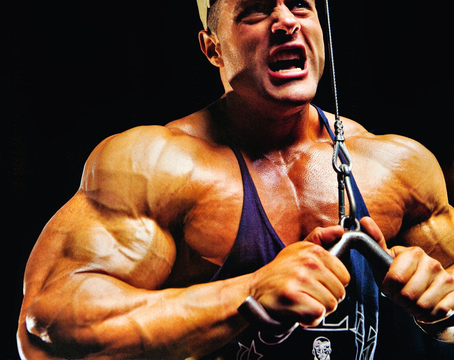 the beauty of male muscle: Evan