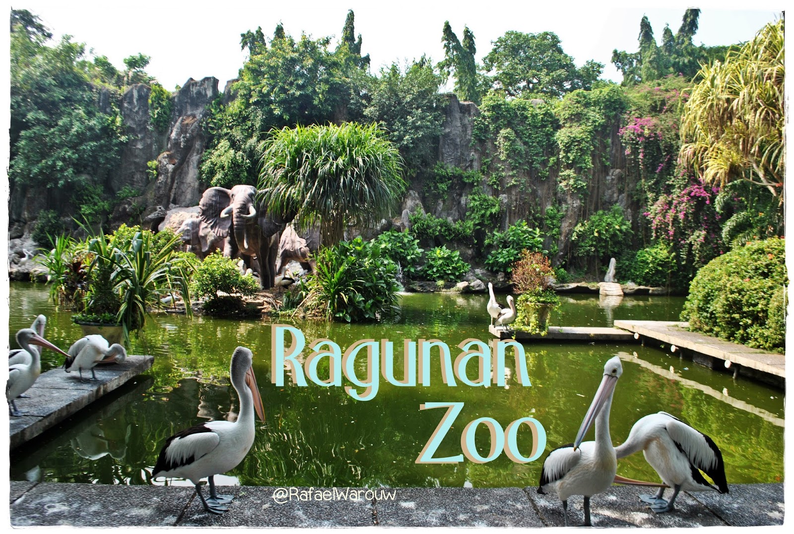 Ragunan Zoo ~ Malay Travel and Tour