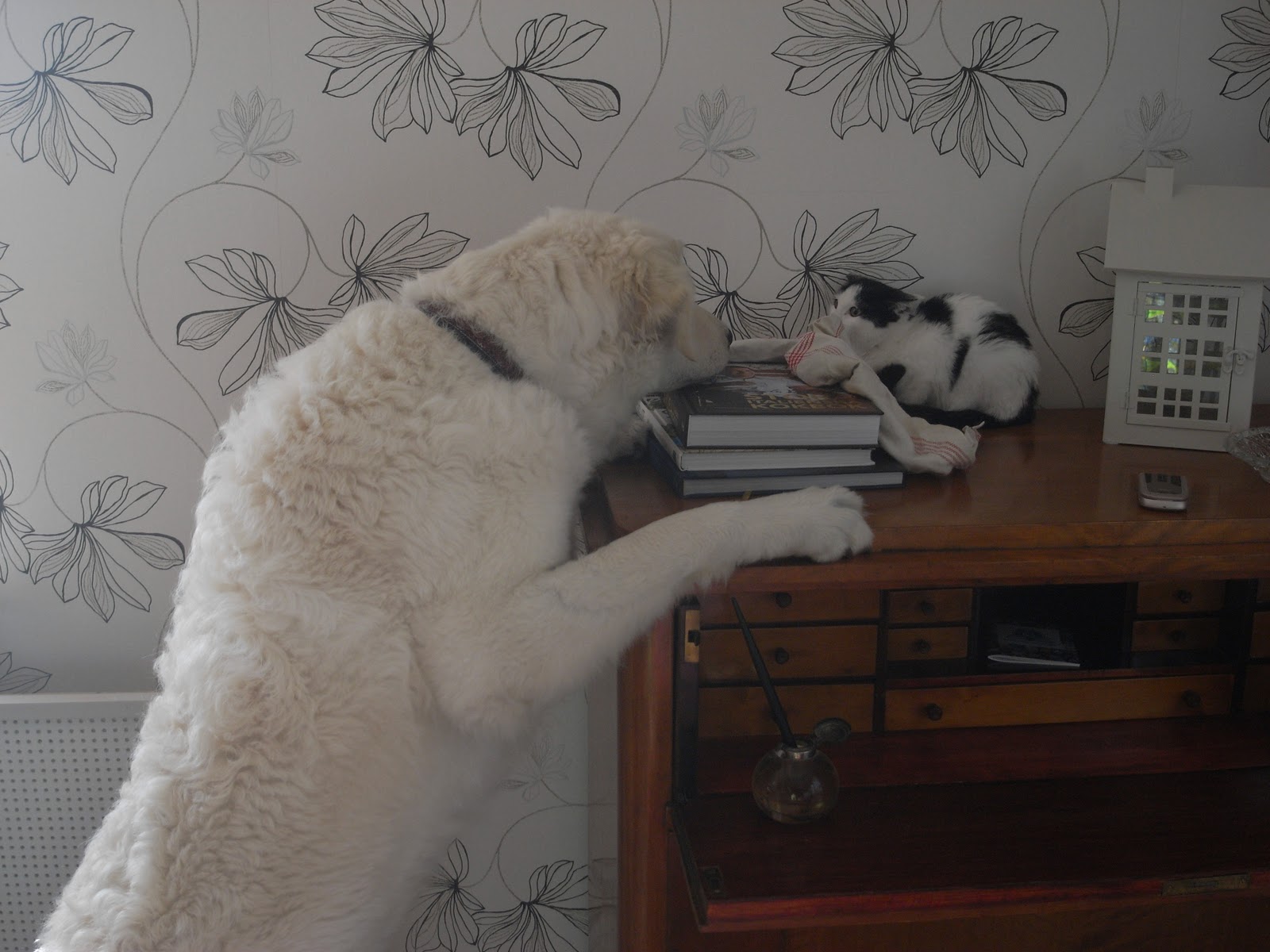 Livet och vardagen: Hon är här nu