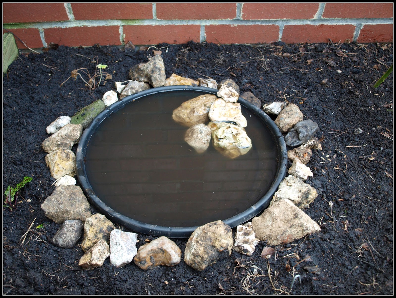 Mark's Veg Plot: Making a micro-pond