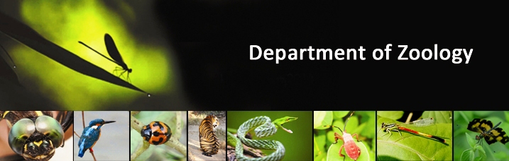 Department of Zoology: Power point Presentation