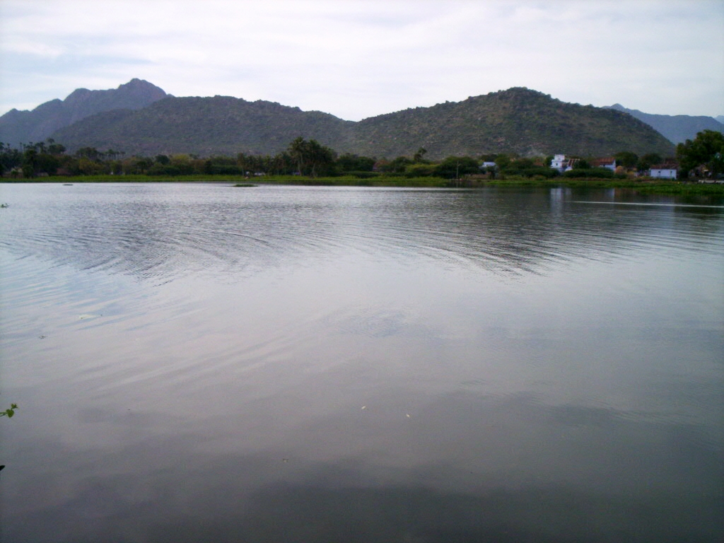 Tamilnadu Tourism: Kalakodi Dharma Sastha Temple Karukurichi ...