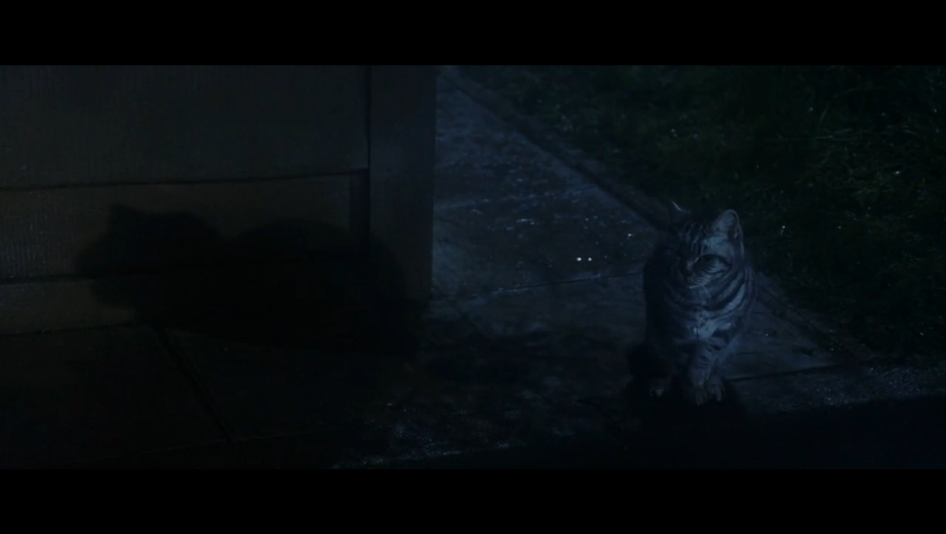 e a t b a n a n a: 100 imágenes de Harry Potter y la Piedra Filosofal ...