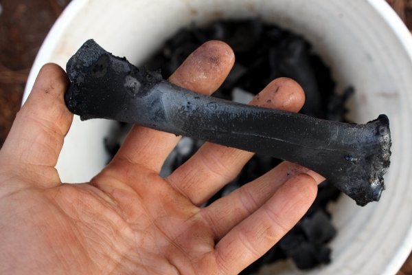 Horsing Around At Home: Yes, please to sugar, no way to bone char........