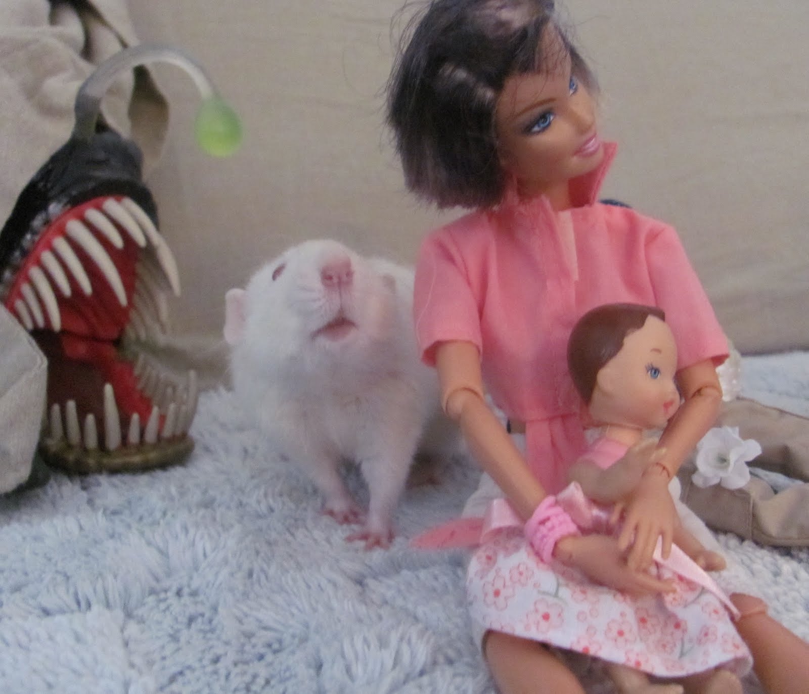 Ringo's Rat Tales: Boo "Ratley"