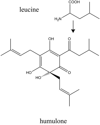 TheChemistryOfBeer: Alpha Acids - The Bitter Truth