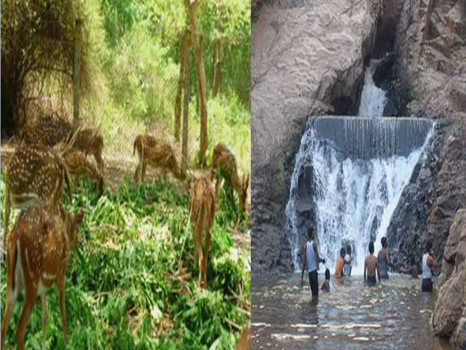 Infobook : Vellore - Toursim - English