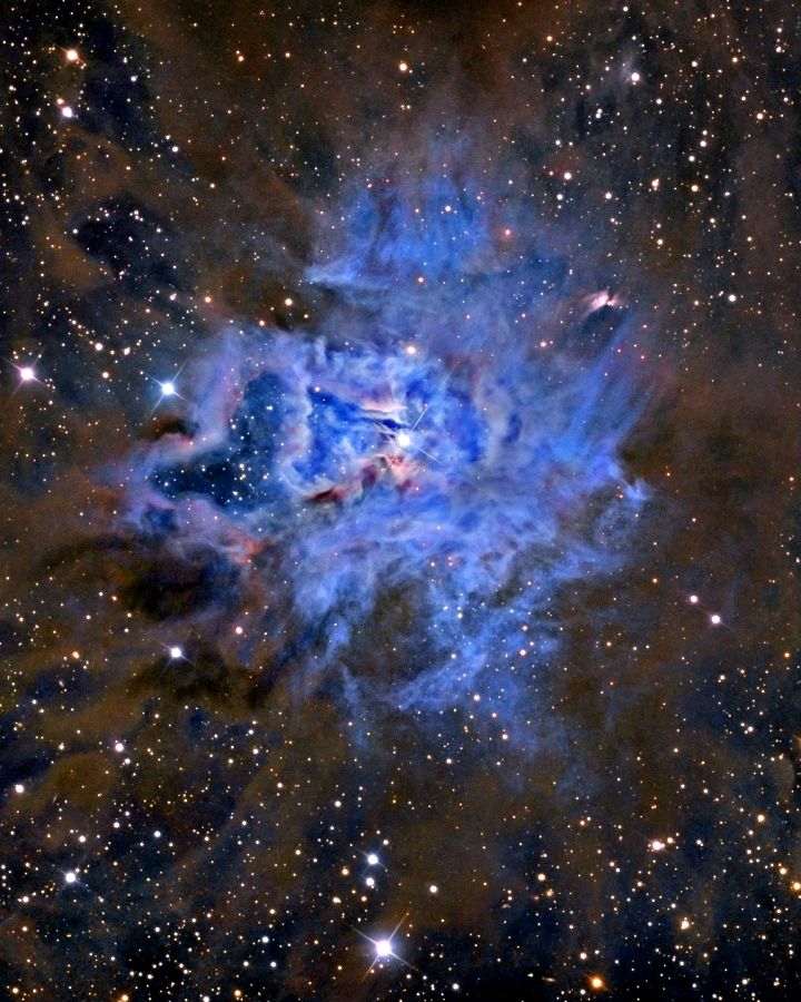 Aprendendo sobre o Universo: NGC 7023: A Nebulosa de Iris