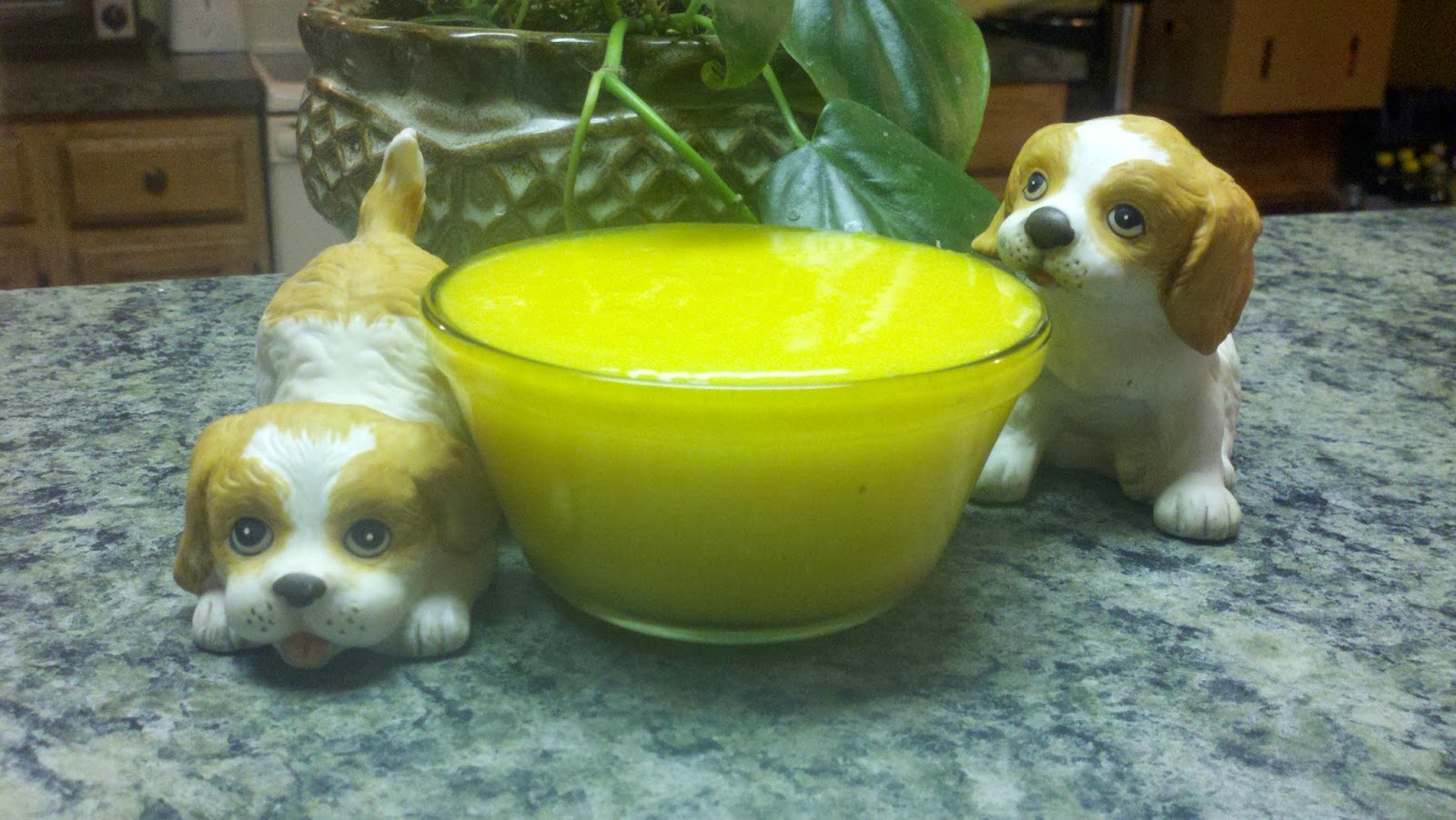 The Trim Recipe Box: Singing Canary Pudding!! - FP