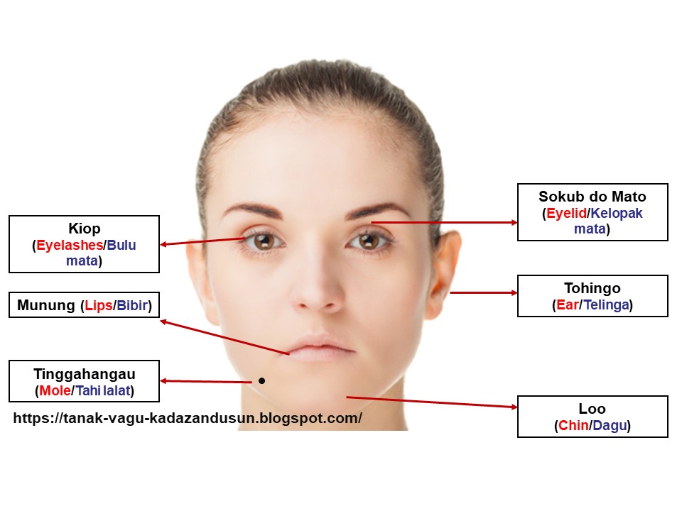 Tanak Vagu Kadazan Dusun: Pangan do tinan/Parts of the body/Anggota Badan