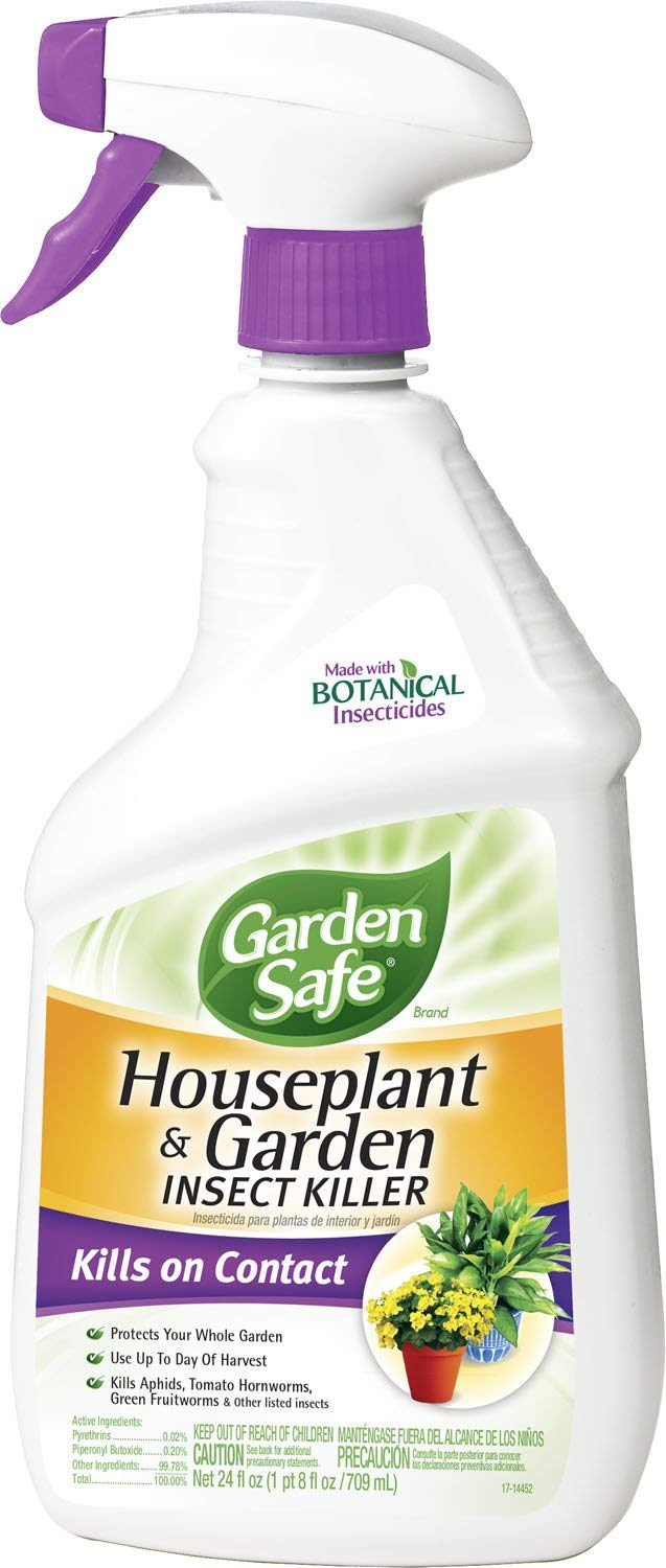 6 Best Buy Bug Spray For Gnats Gnat Killer Spray Reviews What Can I Spray To Kil Gnats ~ Best