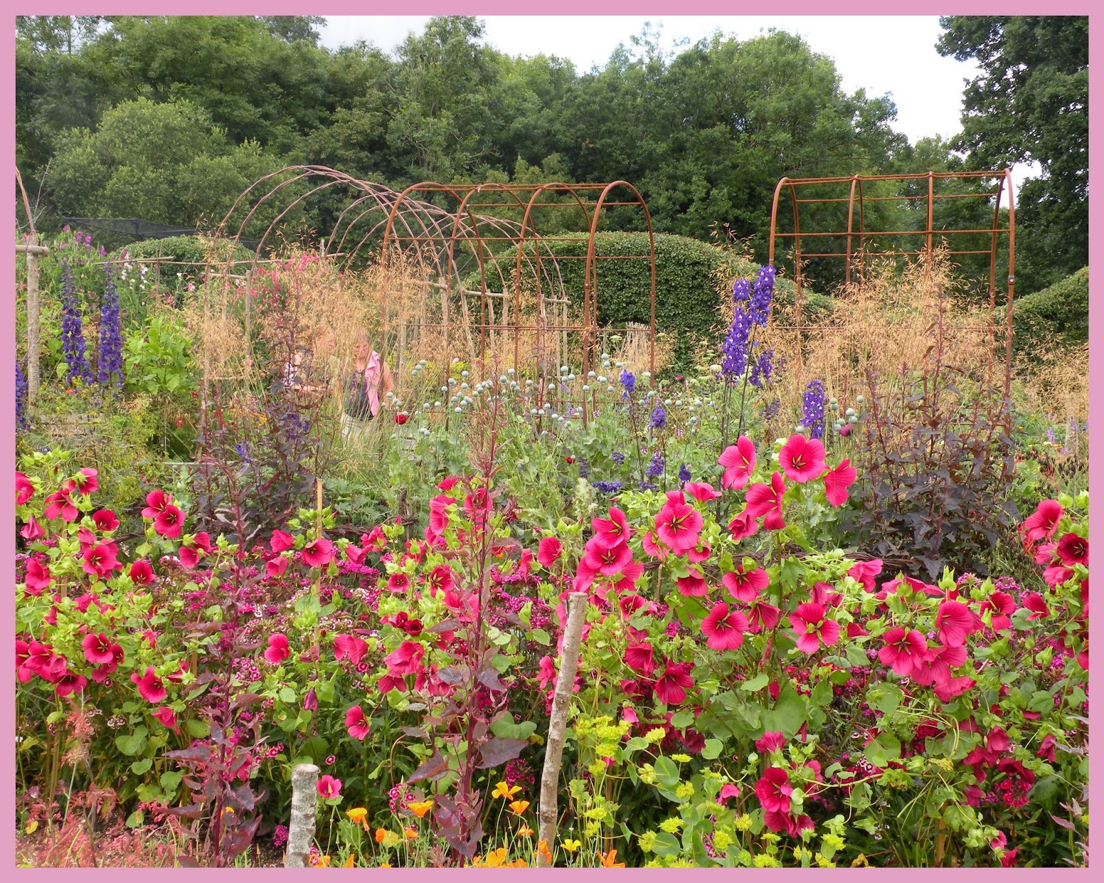 marieke nolsen: Sarah Raven - Perch Hill