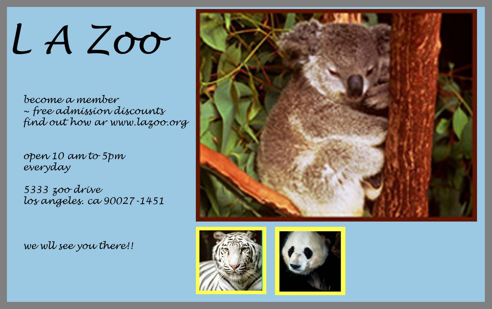 CourtMariee: Zoo Postcard