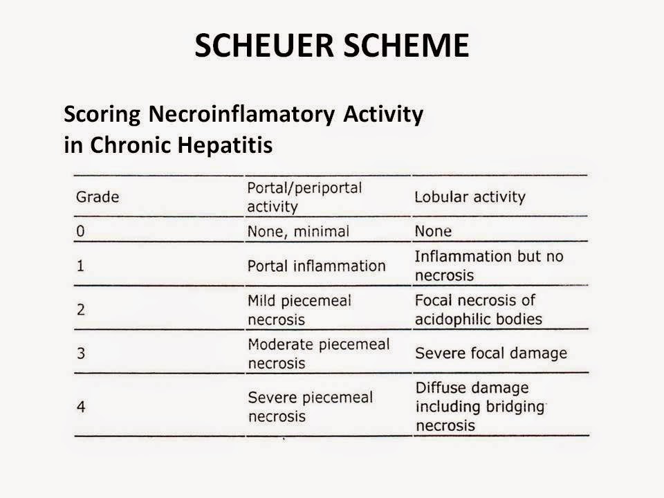 Reza Aditya Digambiro: BIOPSI HATI PADA HEPATITIS KRONIK