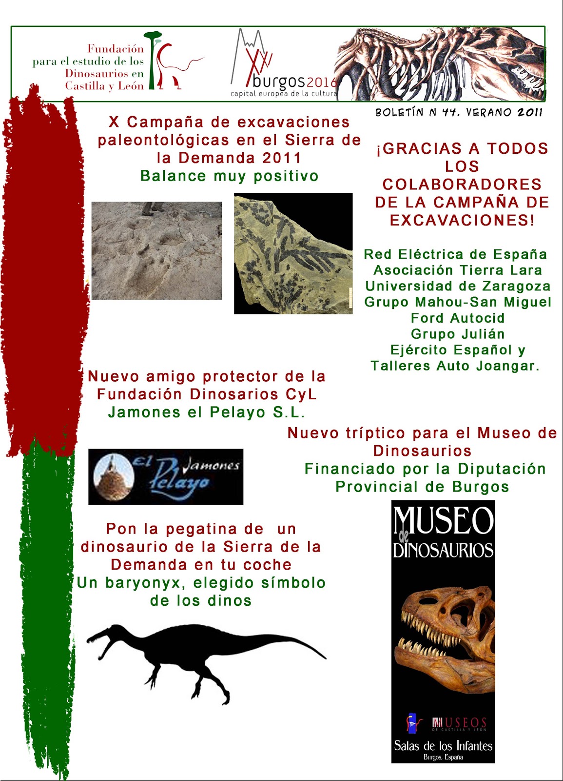 Fundacion Dinosaurios Cyl: Boletin informativo verano 2011 Fundacion Dinosaurios Cyl: Boletin informativo verano 2011