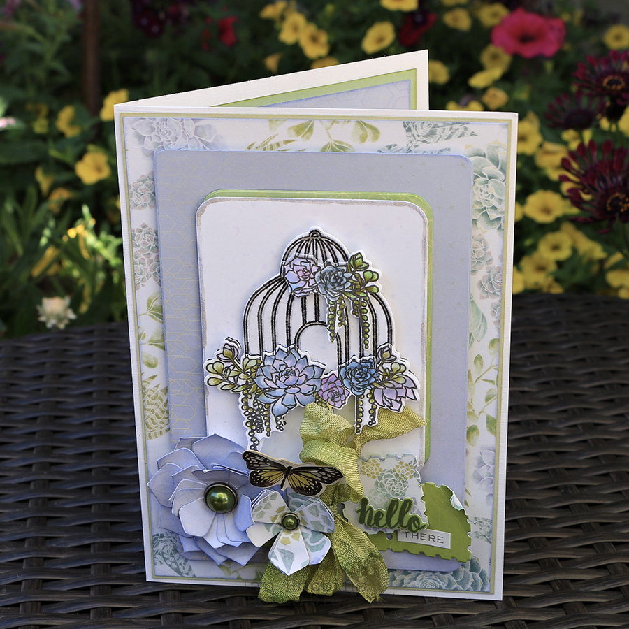 SUCCULENT CARDS - In My Own Imagination