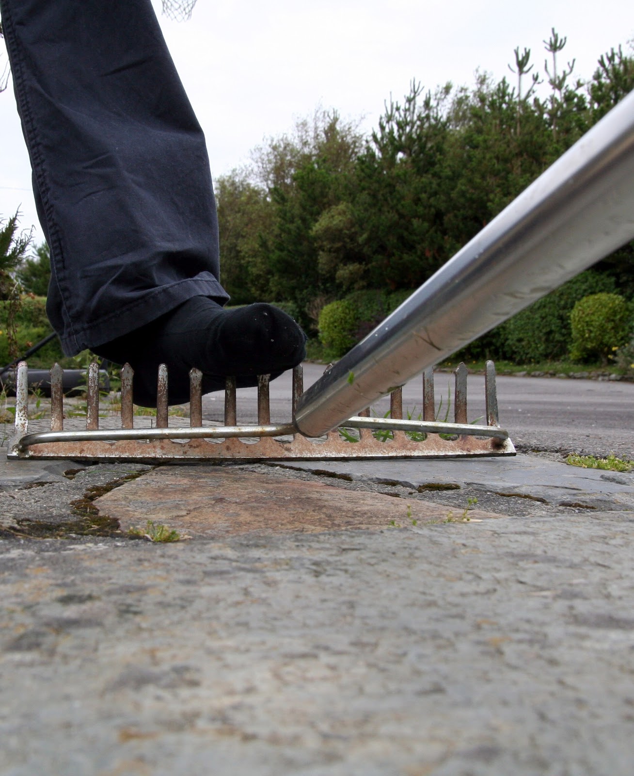 Gardening Matters: Safety in the garden -Especially with step ladders