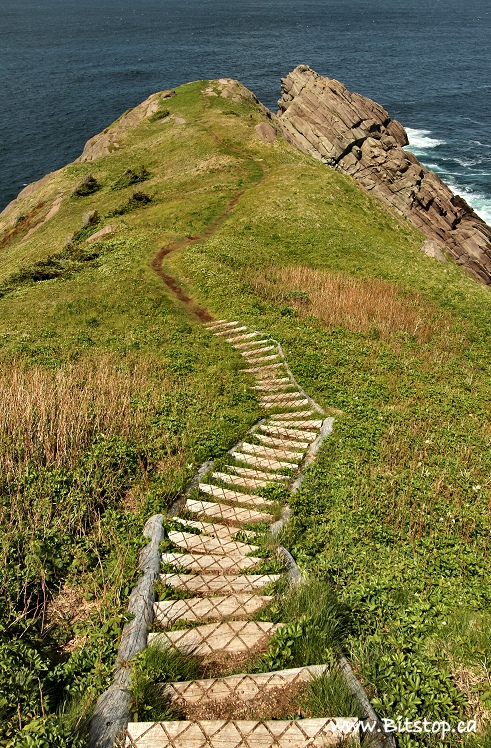 Bitstop: Torbay Point