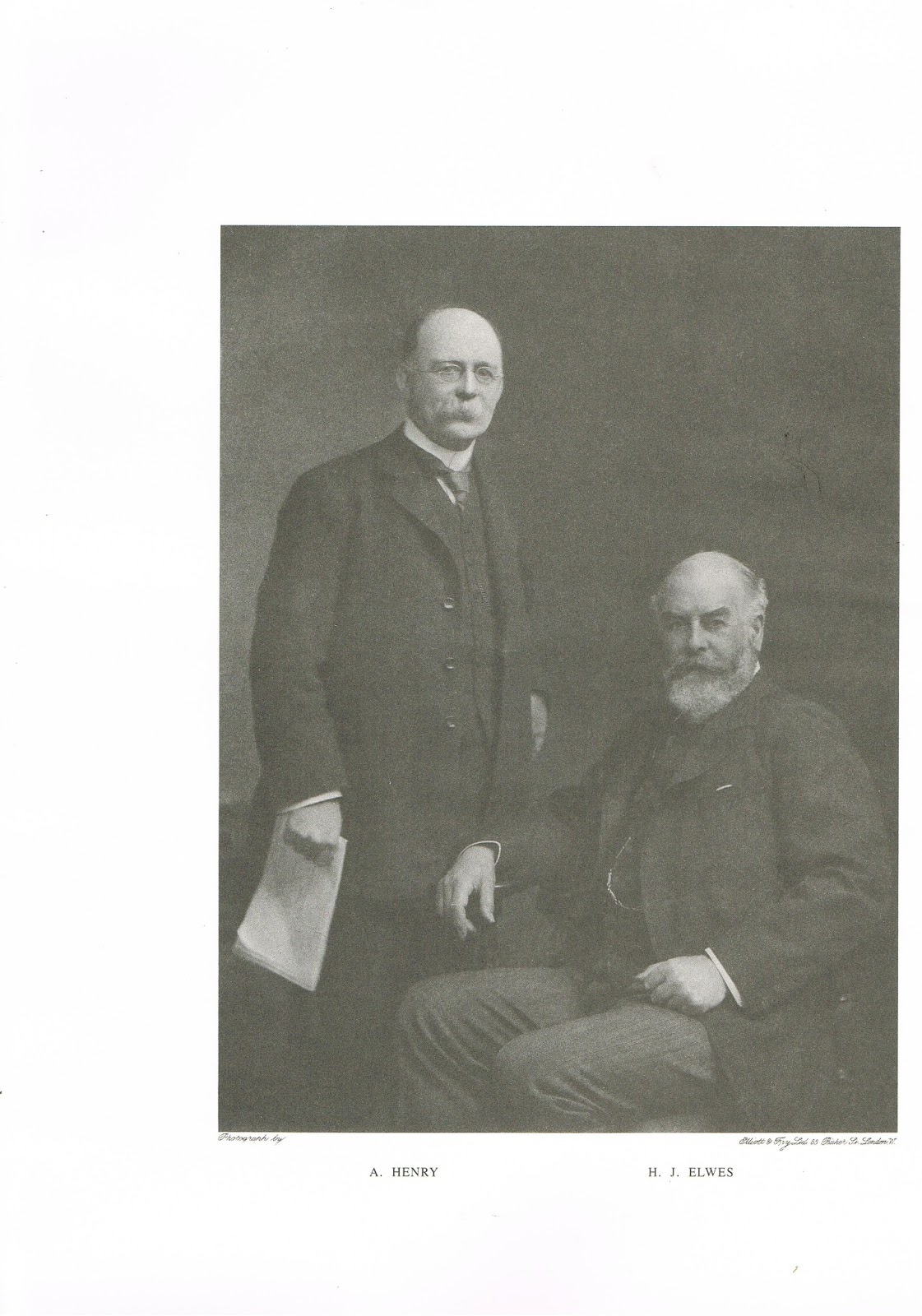 John Grimshaw's Garden Diary: The Trees of Great Britain and Ireland ...