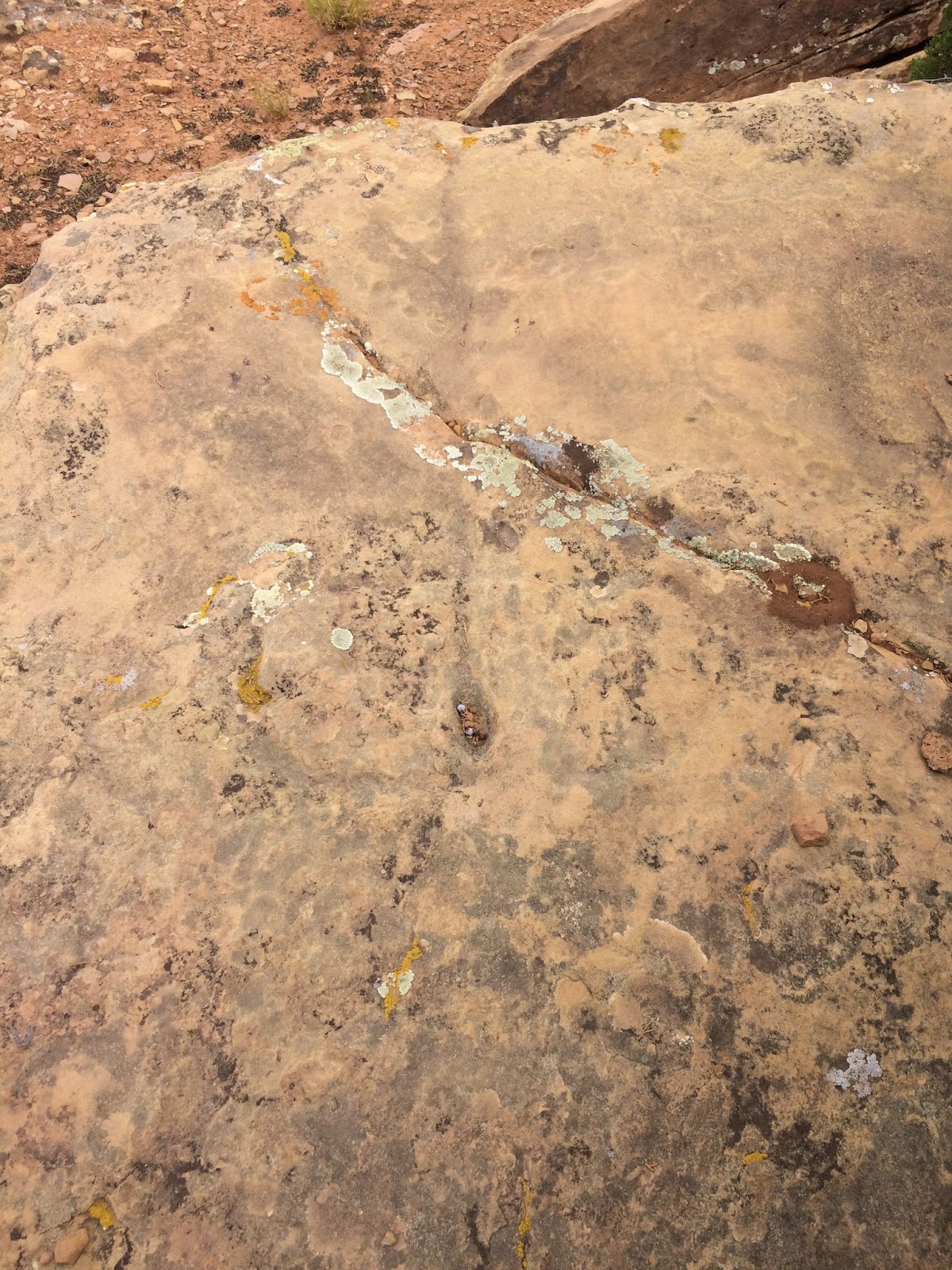 Oddities Curios and Other repressed Emotions: Water Glyphs