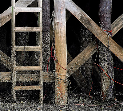 Art Propelled: ONE RUNG AT A TIME