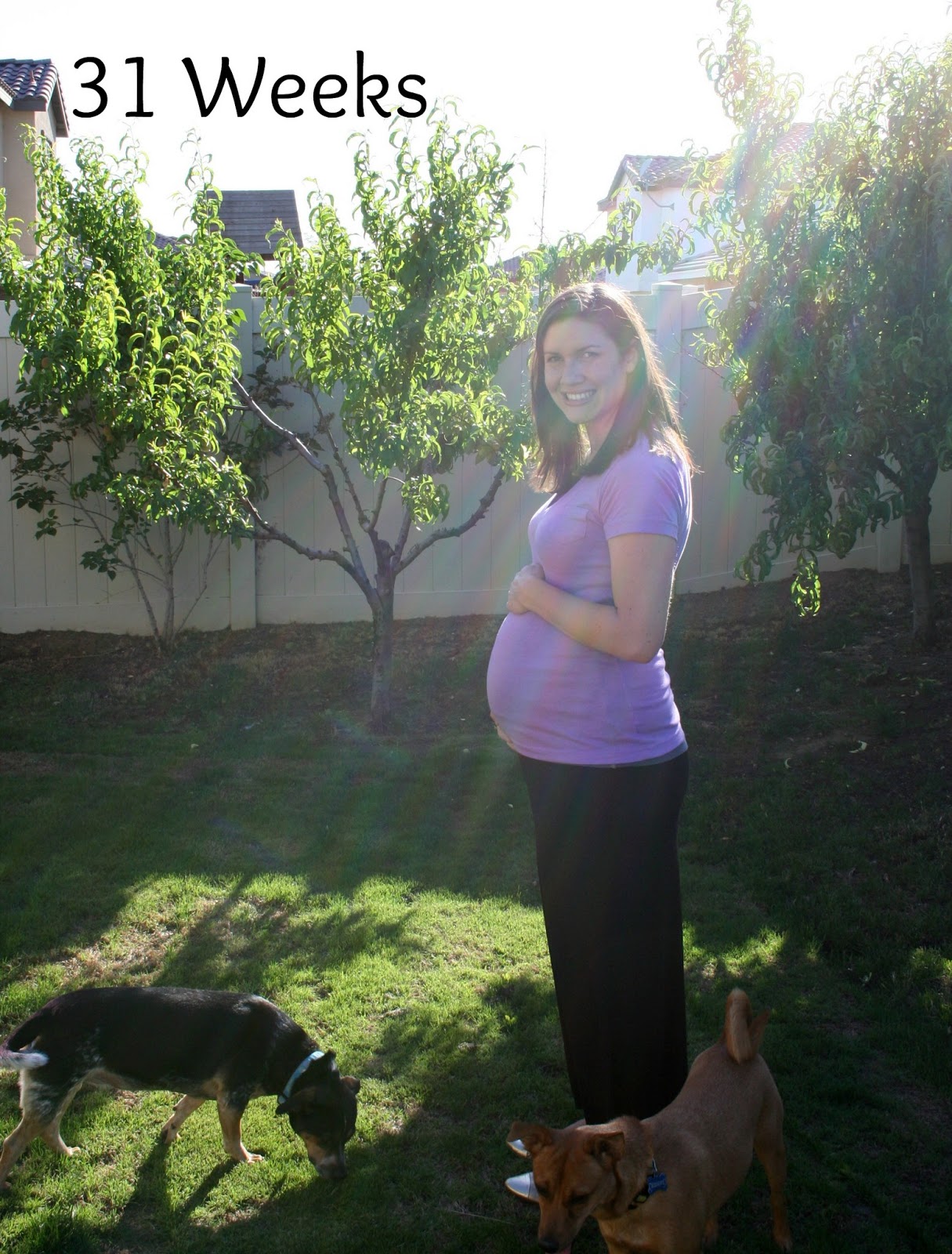 The Noble Adventures: Baby Noble: 31 Weeks!