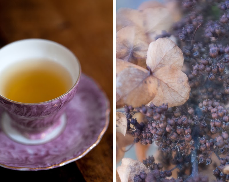 three little halves: Caramelized Slivovitz, the Serbian Tea